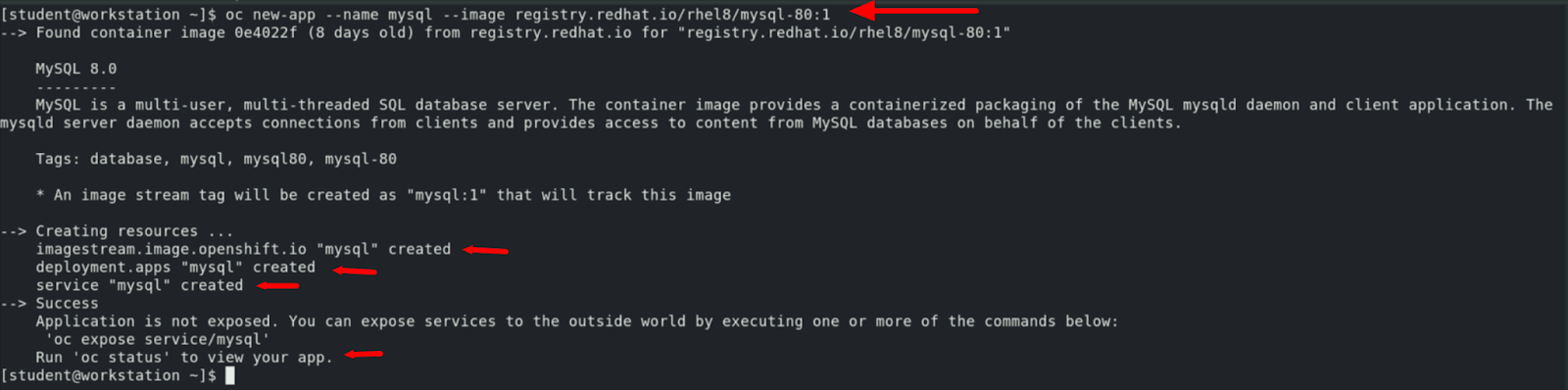 CrashLoopBackOff in K8s - Red Hat Learning Community