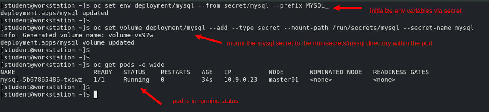 CrashLoopBackOff in K8s - Red Hat Learning Community